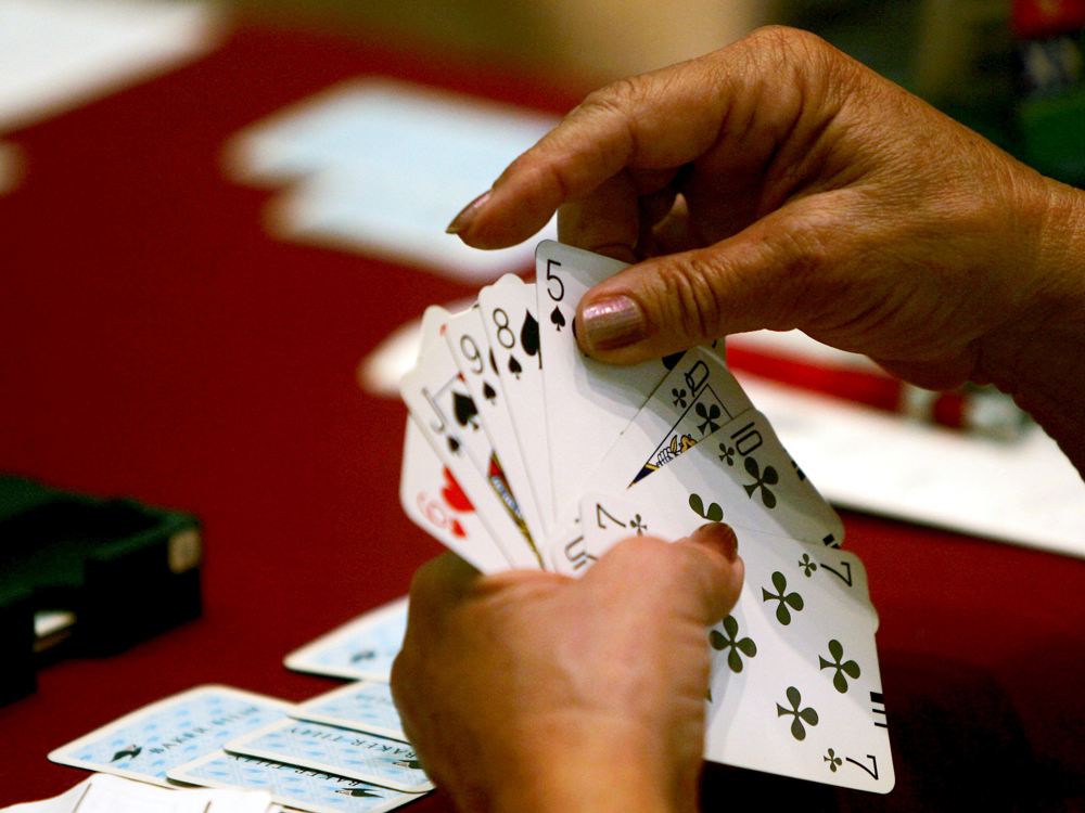 Magdalena Ticha | TeamNL